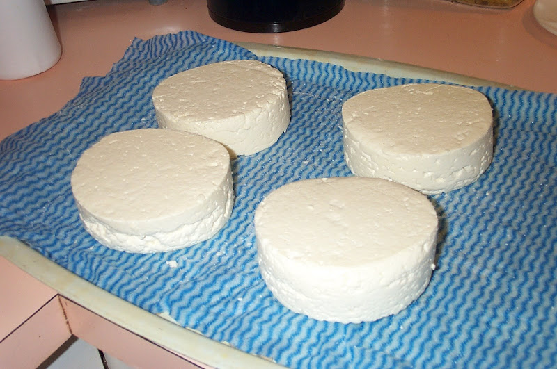 Home Made Camembert - The Greening of Gavin